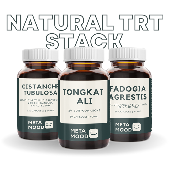 Naturally enhancing your mood – MetaMood